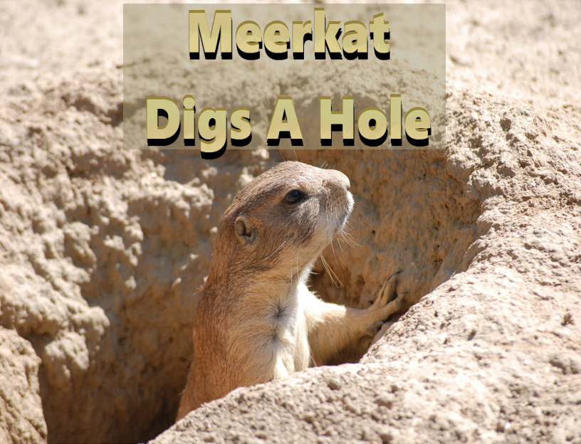 Meerkat Digs A Hole by indoorotaku