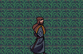 Wizard Survivor by HyperPulsor