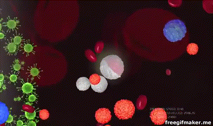 INFECTIOUS - Viral Pursuit by Daniel W