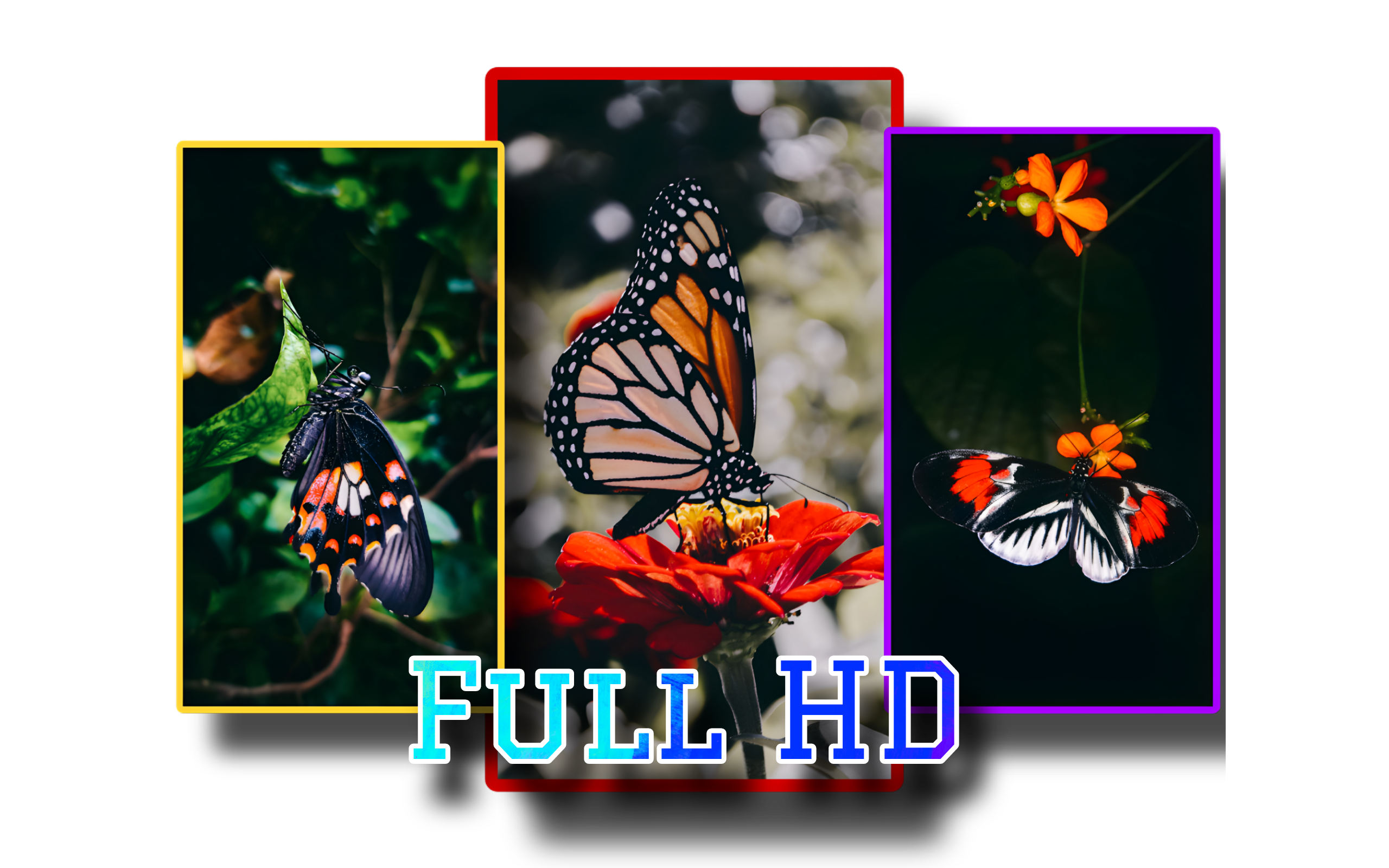 Full HD Butterfly Live Wallpaper by TheNewDeveloper for Panic Horror ...