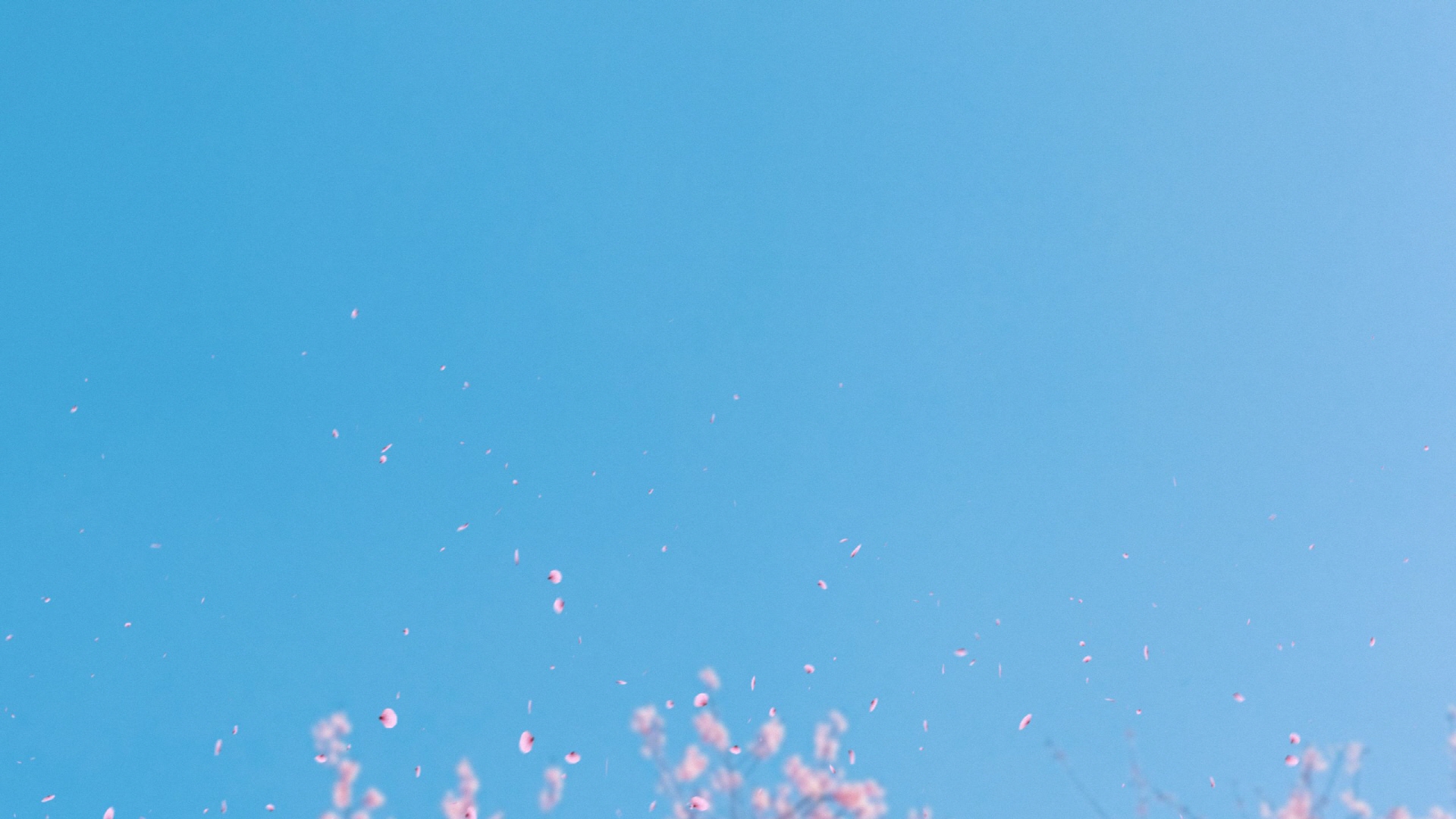 Tune Of Spring / Relaxing Piano by MOOB