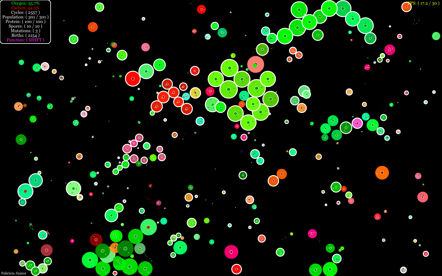 Cell Simulator by Fabricio Vidal