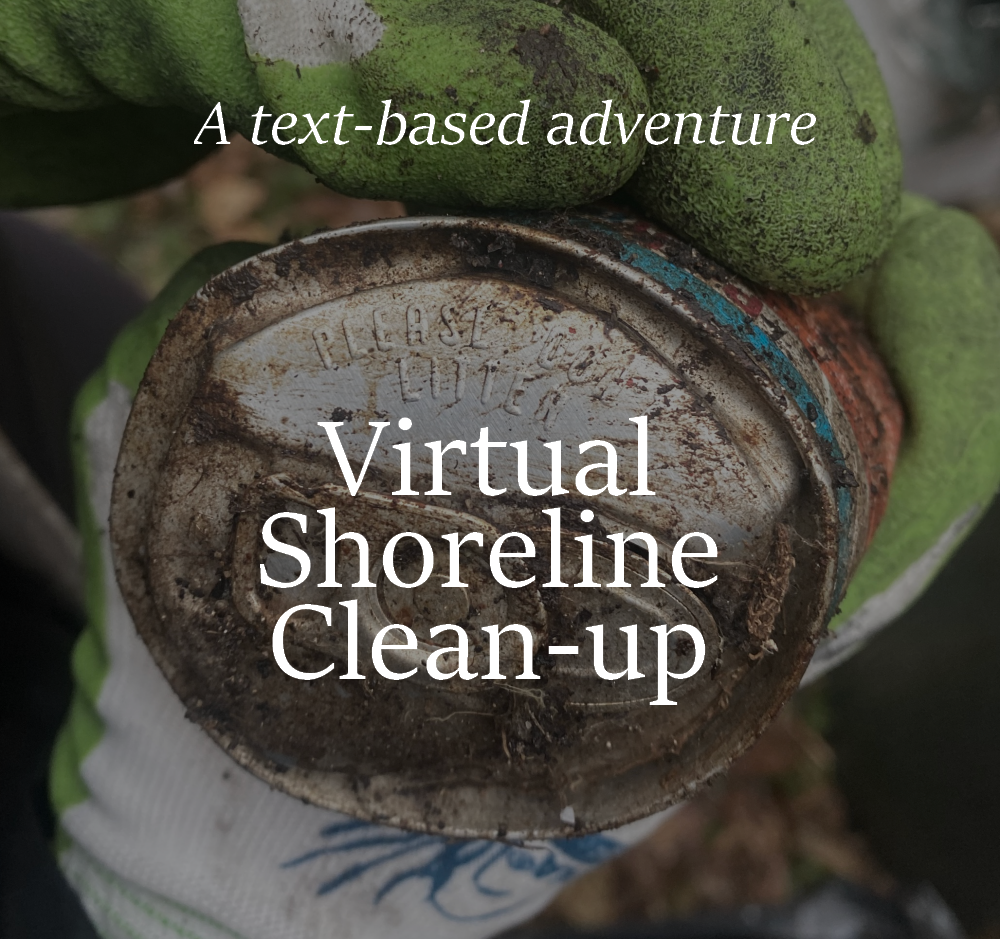 Virtual Shoreline Clean-Up by Allie Graff