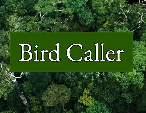 Bird Caller by James Cassin