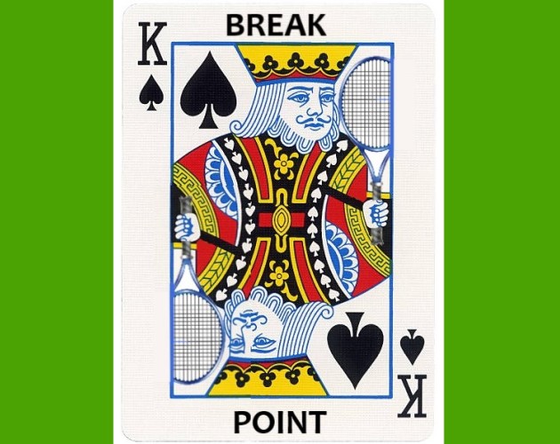 Break Point by Nick Gelling