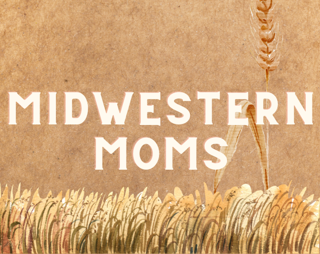 Midwestern Moms by cutestpatoot games