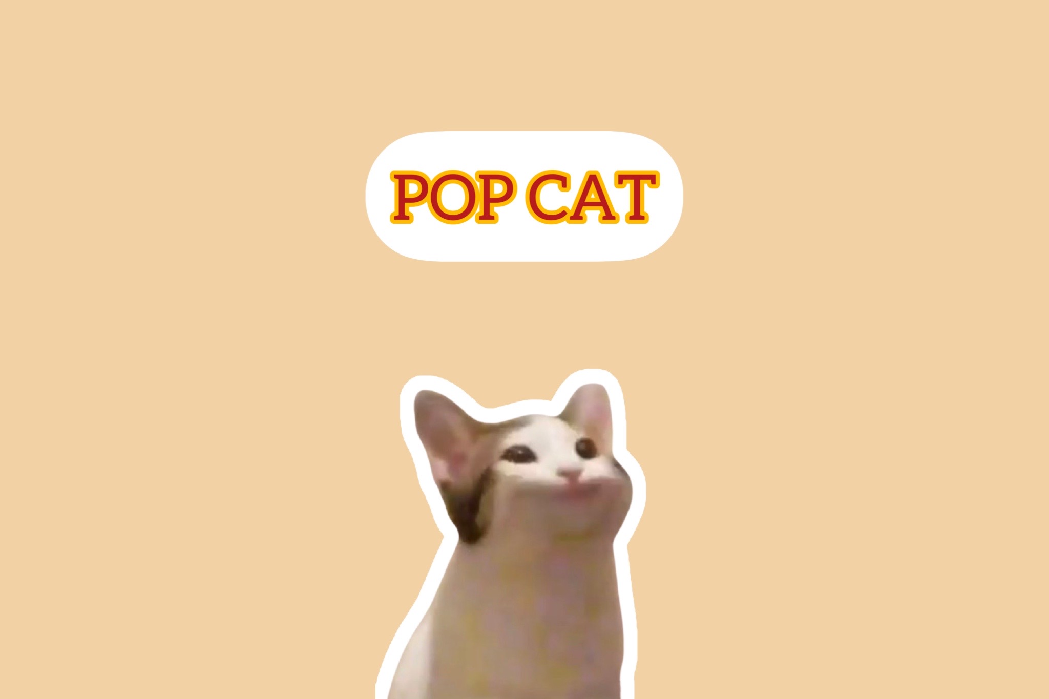 POP CAT by yujie1121 for 東吳擴增實境 AR 迷因 #2024 - itch.io