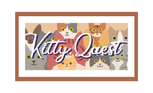 Kitty Quest by ecucchi