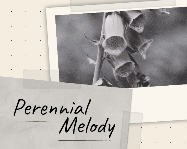 Perennial Melody by happy cat games