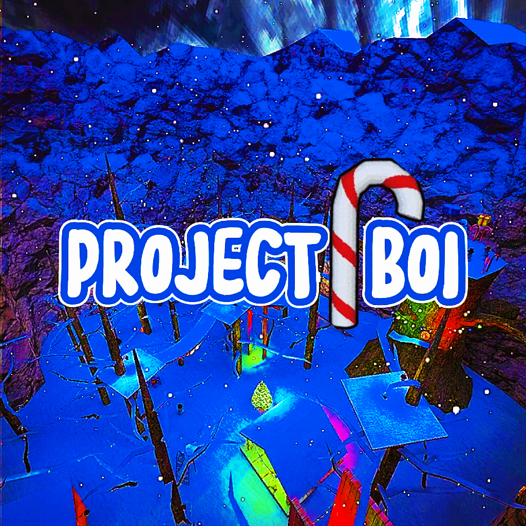 PROJECT BOI by VIVIDVR