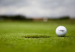 Hole in Three - A wood golf game by Dh554781