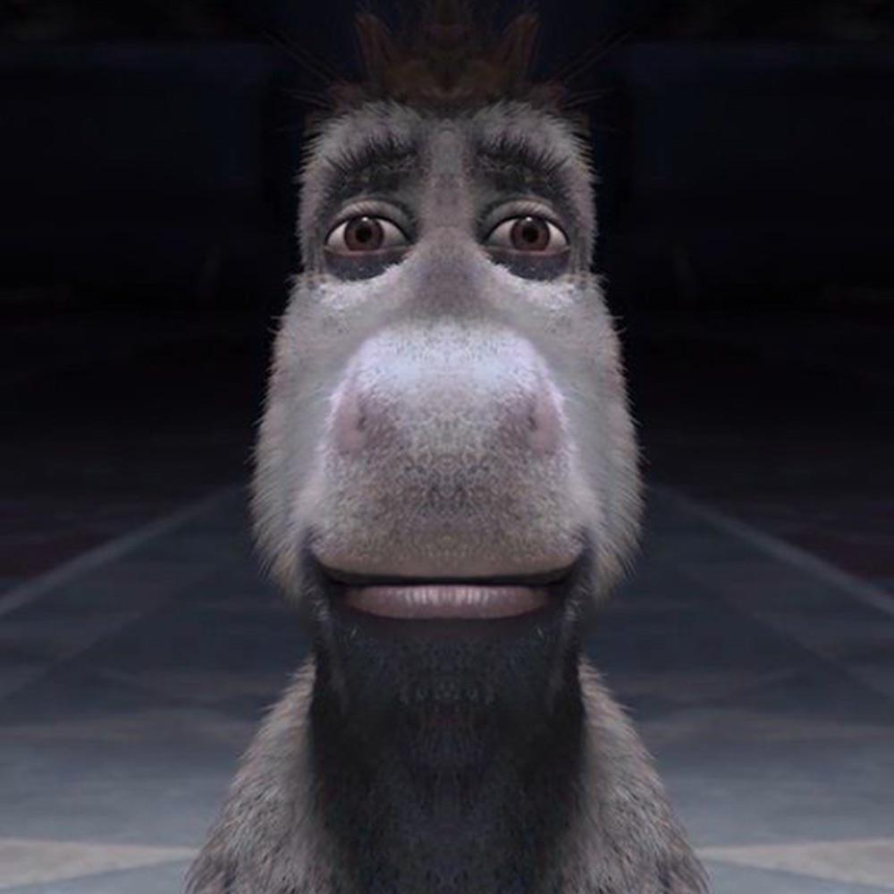 Donkey's Flare Dating Simulator by Wild_JumboShrimp