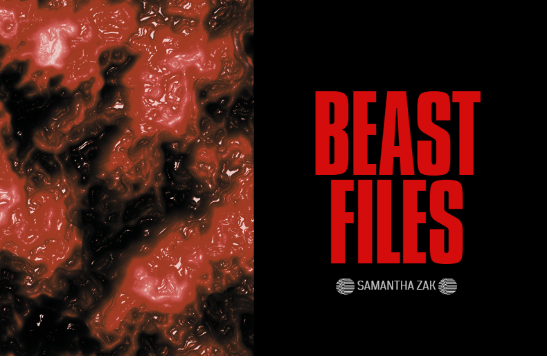 Beast Files by SZ