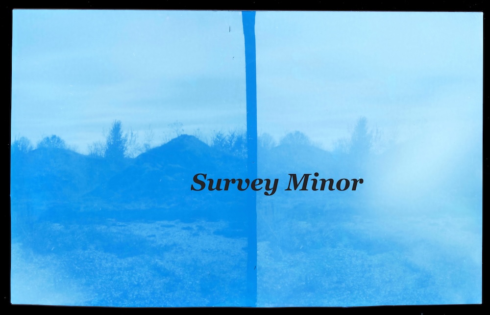 Survey Minor by unthankprovost