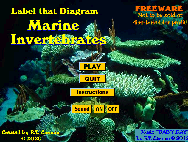 Label that Diagram - Marine Invertebrates by rtcgames