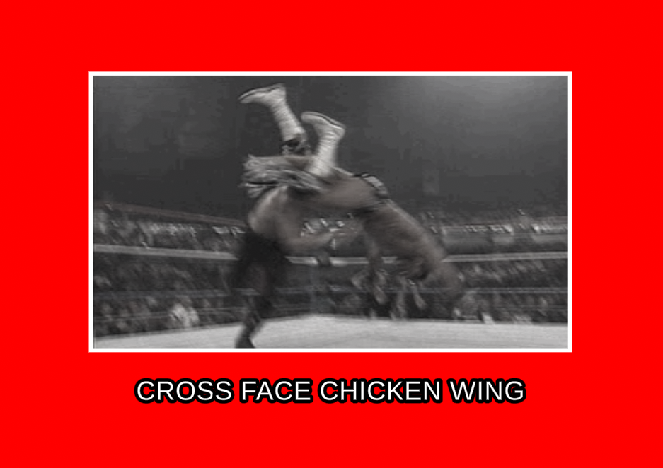 Cross Face Chicken Wing by GURN GROUP
