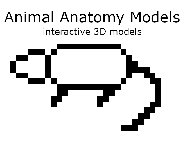 Animal Anatomy Models by JacksonMonson