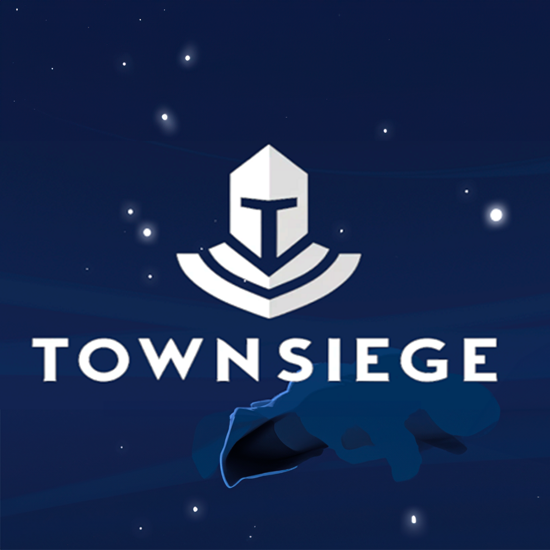 Town Siege by Inter_TheOrder