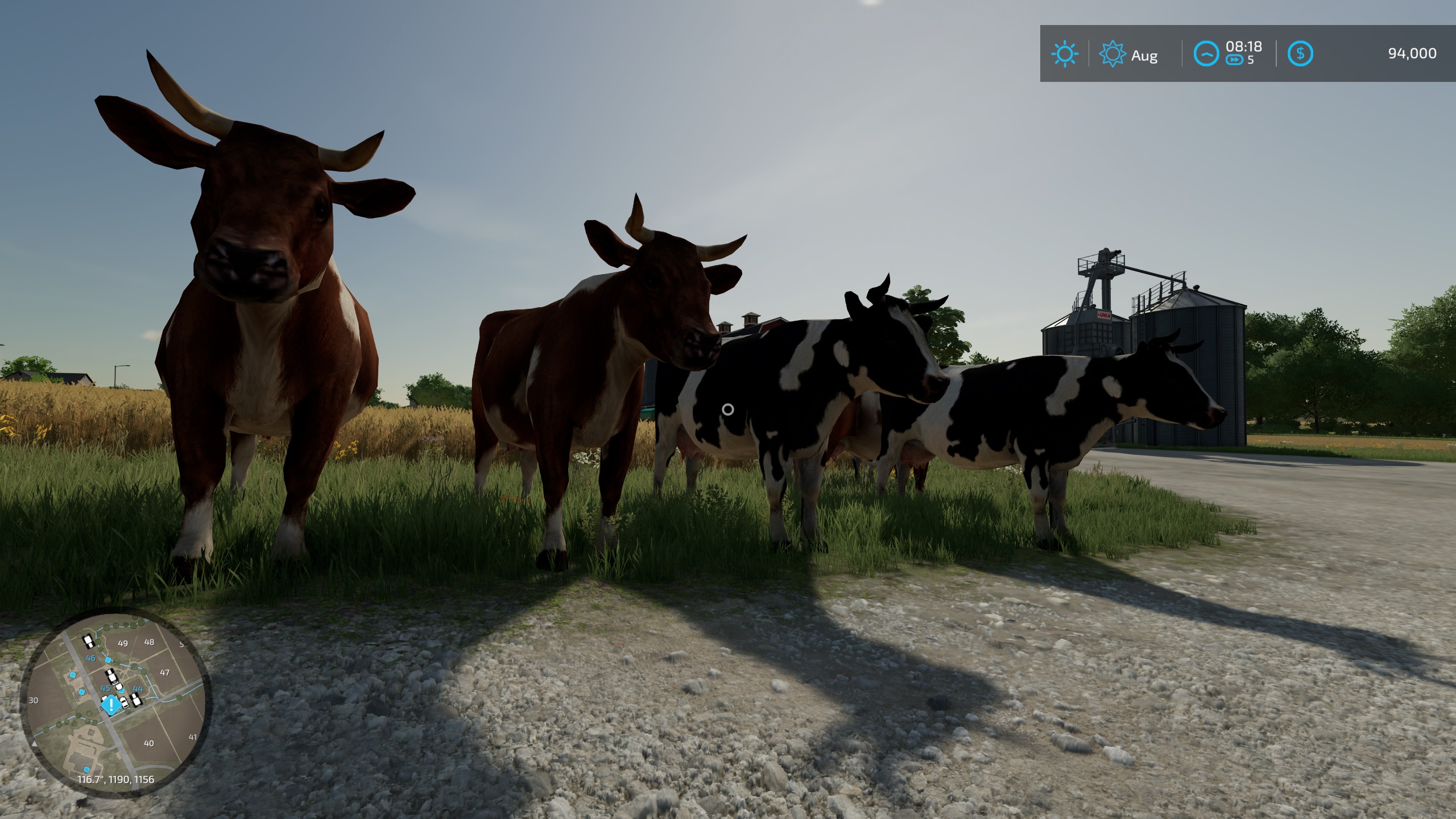 Placeable cow Fs22 by WittyMods