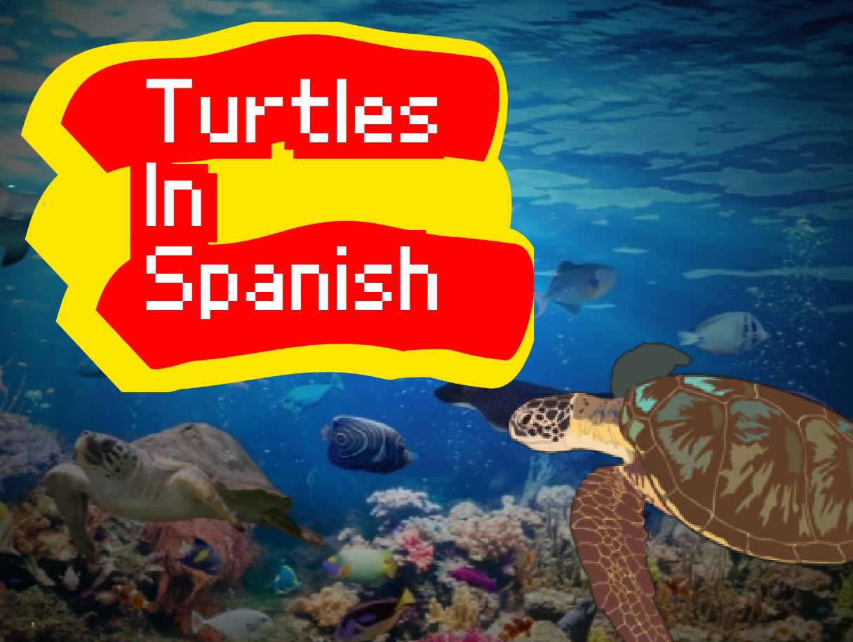 Turtles In Spanish by Feligameland