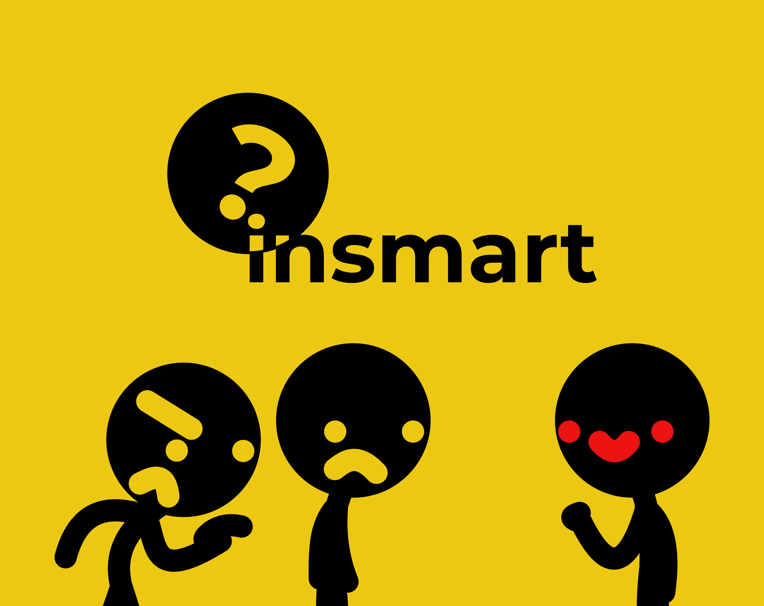 Insmart by The Skeptic