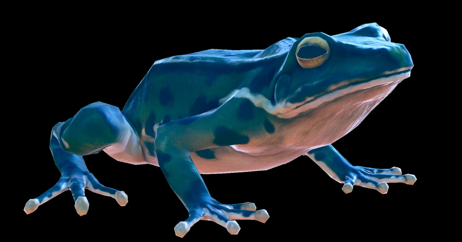 Assorted Animal Animations by Quark_Yifu