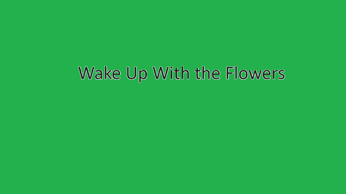Wake Up With the Flowers by Pixel Vine Interactive