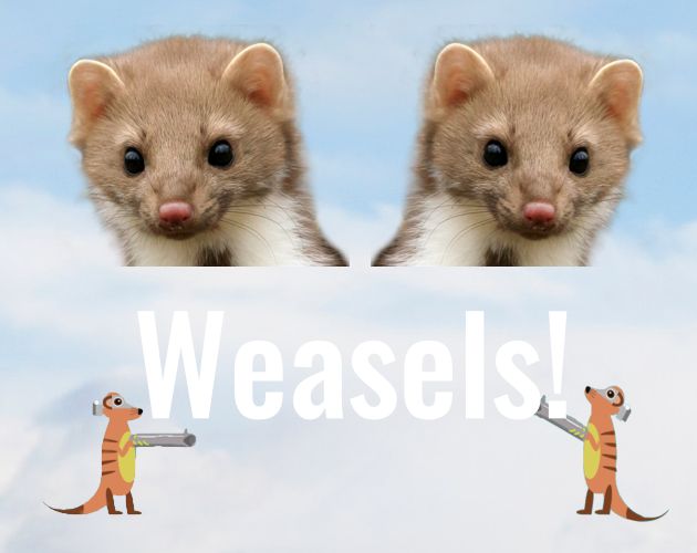 Weasels by RadAir