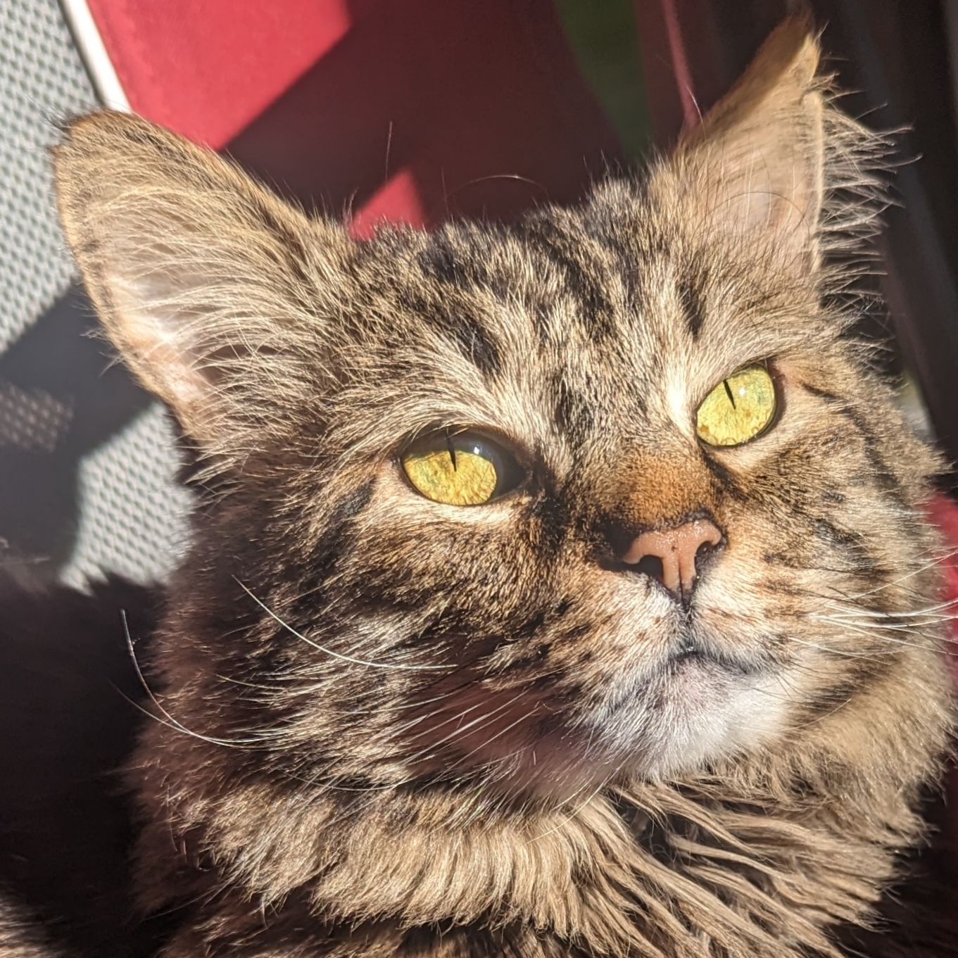 Dancing Dots Sale - itch.io