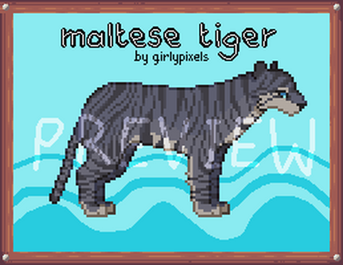 Maltese Tiger Sightings
