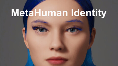 Metahuman .MHB by Alexey Shishnin