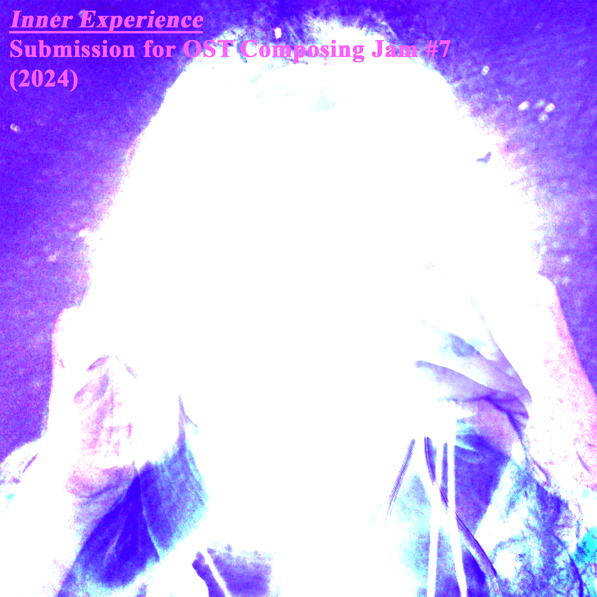 Inner Experience by HCM