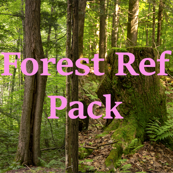 Forest reference pack by RenaudLapierre