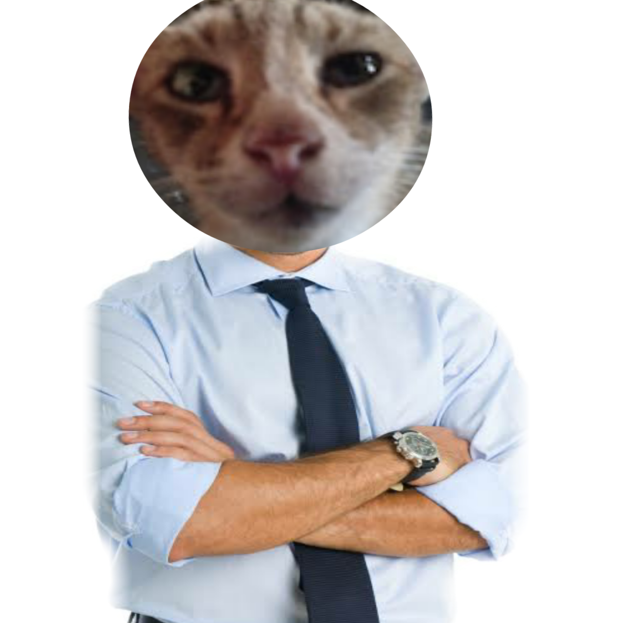 Zombie Apocalypse Beta by CatDev_official