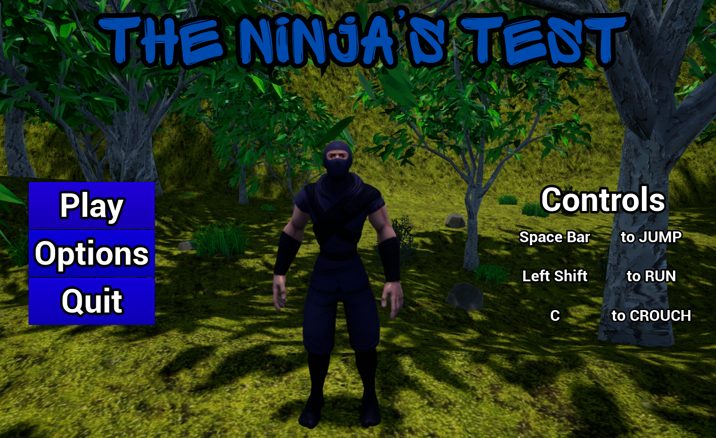 The Ninja's Test by Nozywolf