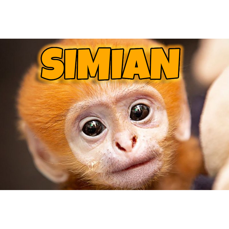 Simian by Tdoggᴰᵉᵛ