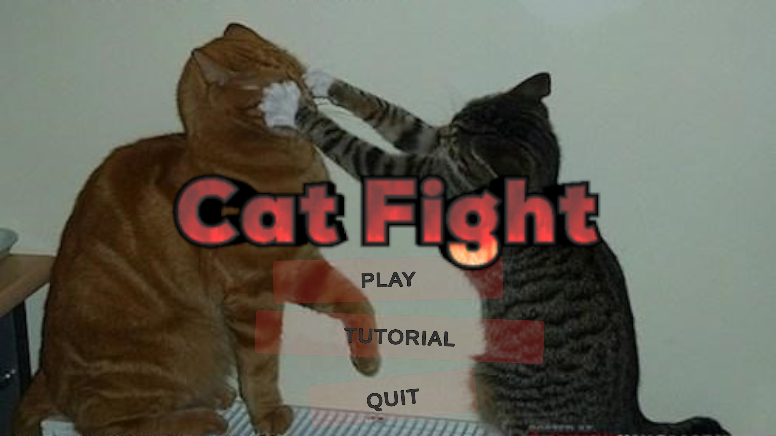 CAT FIGHT by toozle