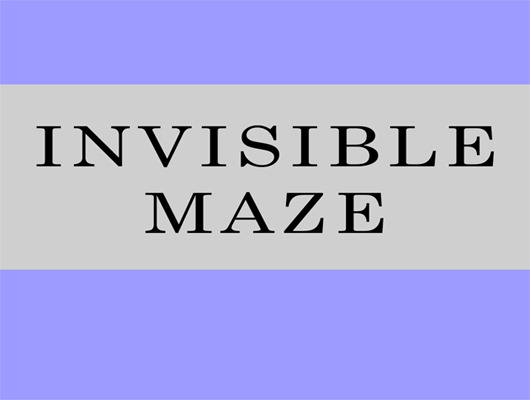 Invisible Maze by Dwi Nandra