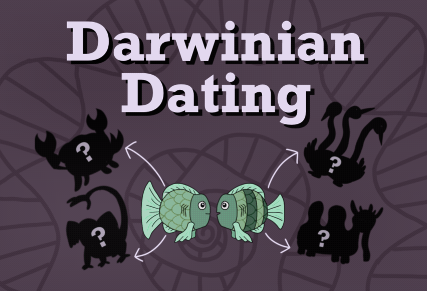 Darwinian Dating By ThreeGoldenEggs