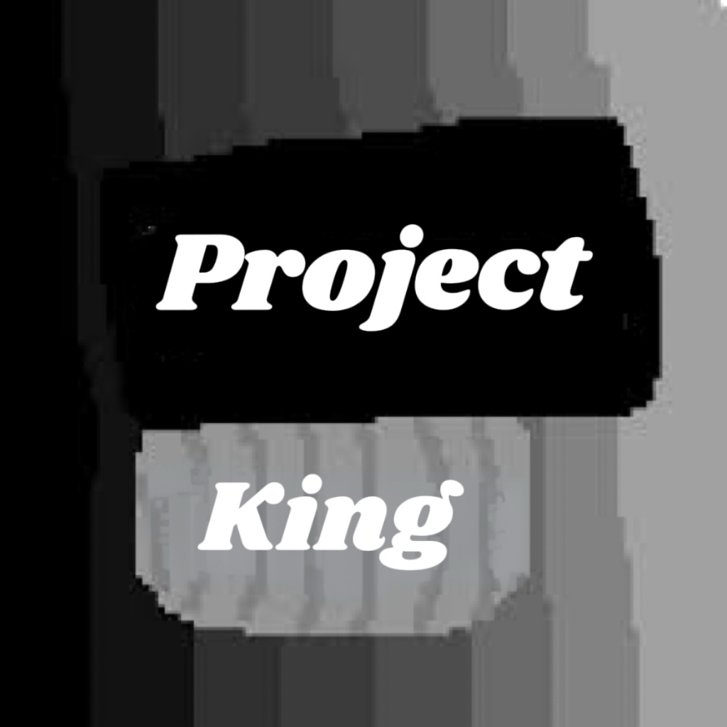 Project King by VIVIDVR