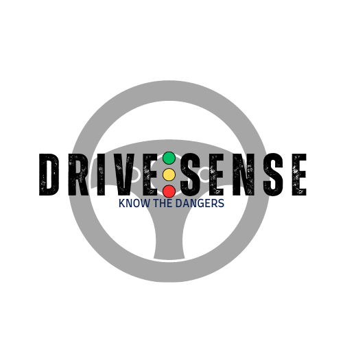 DriveSense by Venturoy Games