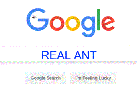 See VIRTUAL ANTS for better version by Clockwork Hippo