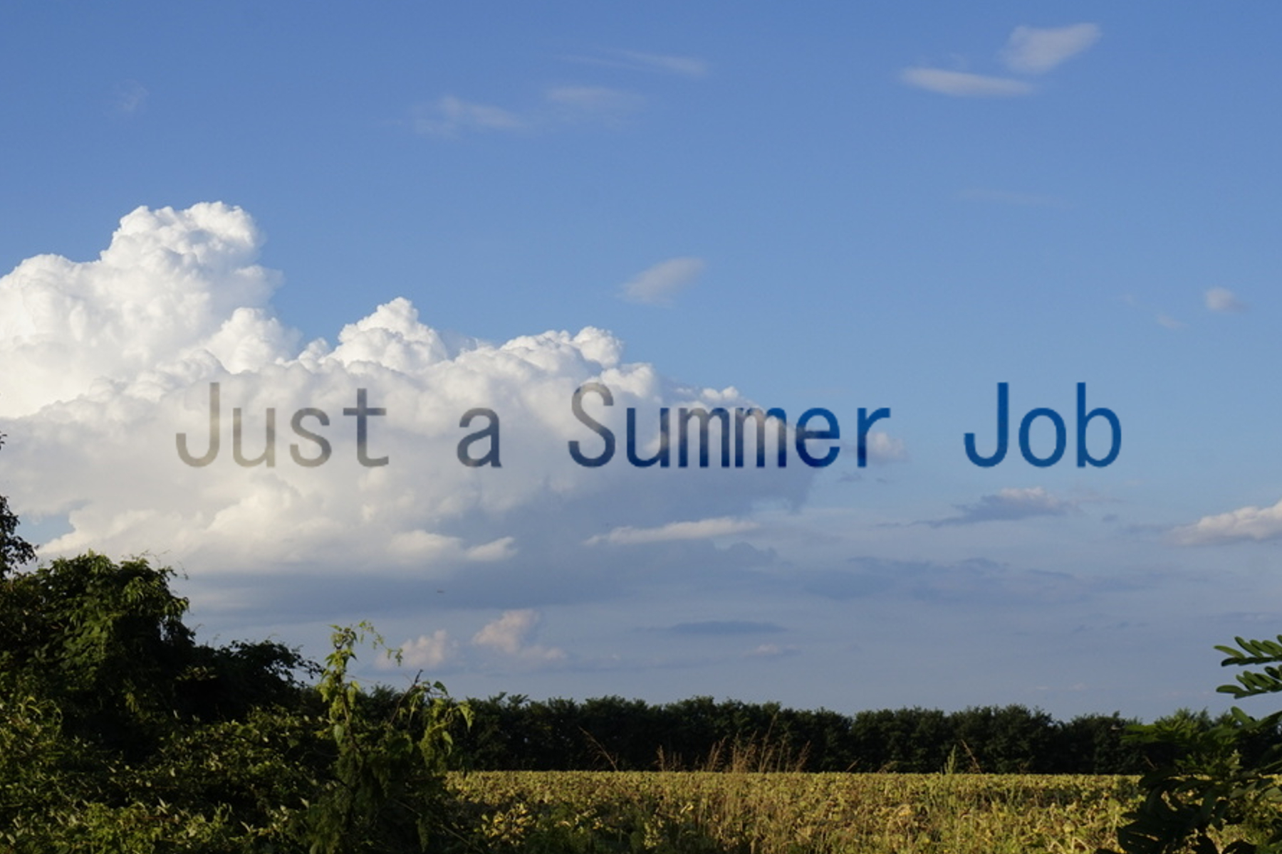 Just a Summer Job by csuti