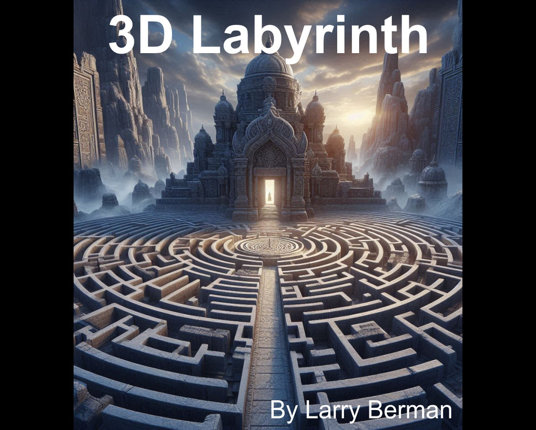 3D Labyrinth by Larrybtoys