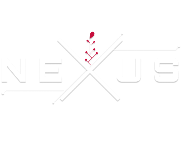 Nexus by Hachimonji