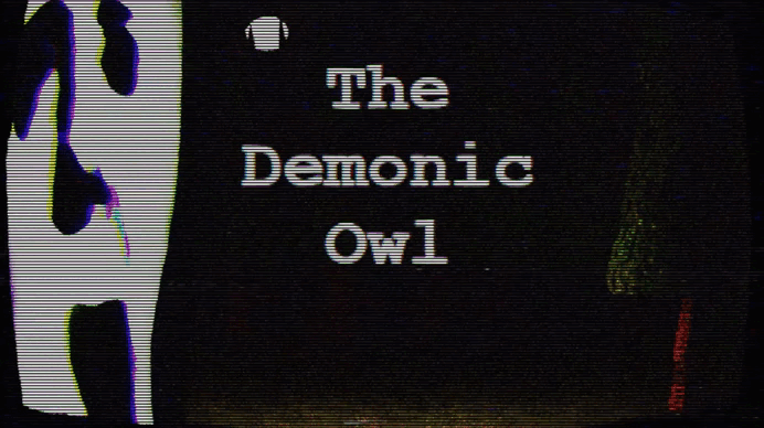 The Demonic Owl VHS horror by Javas game