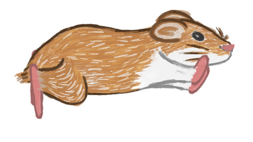 Great Hamster Escape by Kyle_The_Gamer