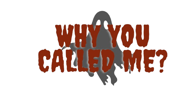 WHY YOU CALLED ME? by Sajjad Chandio, Shaheryar