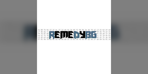 RemedyBG by remedybg