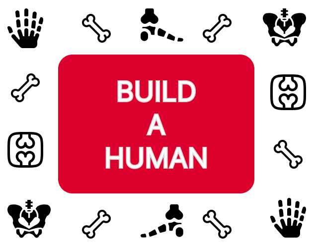 Build-A-Human by Max